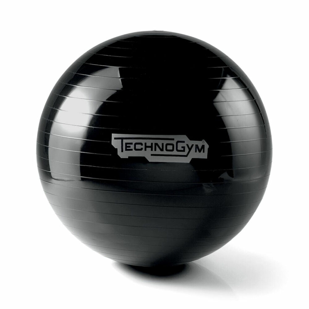 Wellness ball (55-65cm) - TECHNOGYM