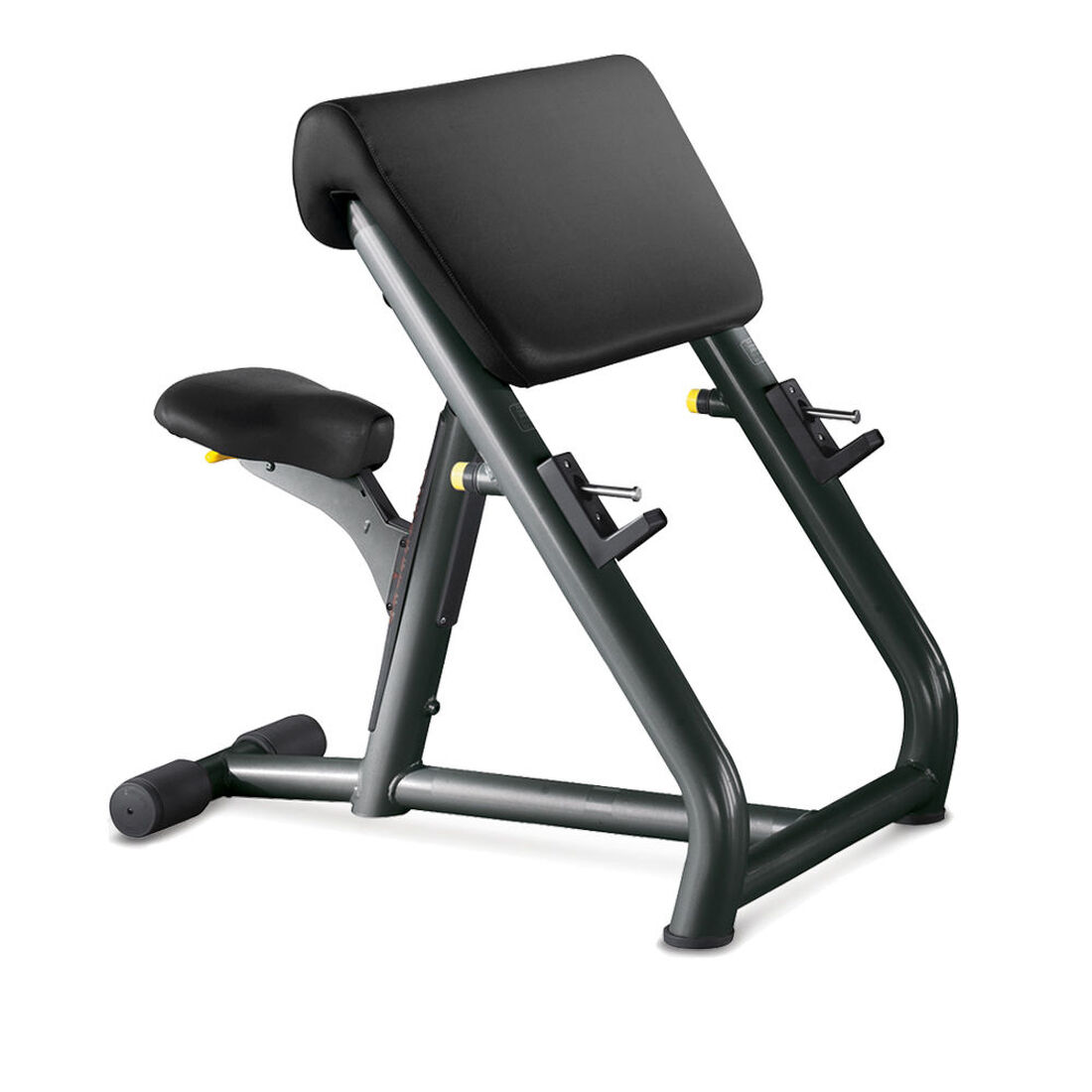 Scott Bench - TECHNOGYM