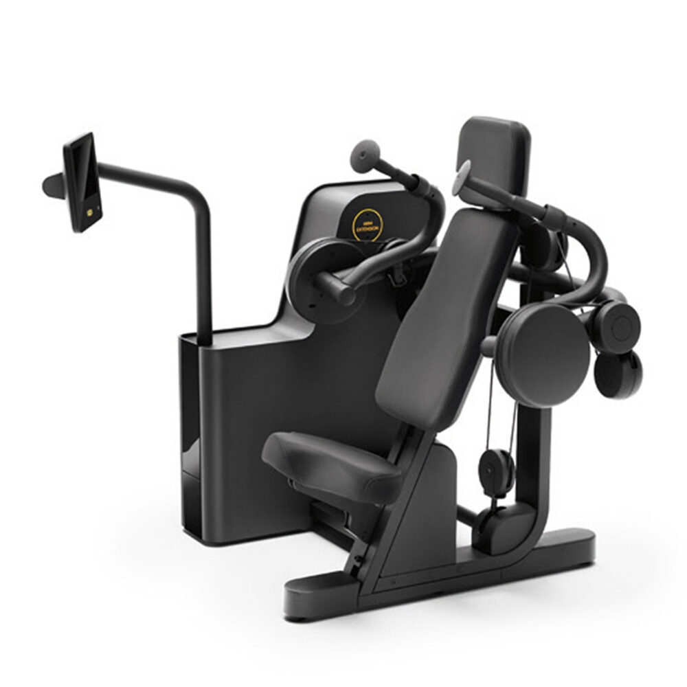 Arm Extension - Pedan